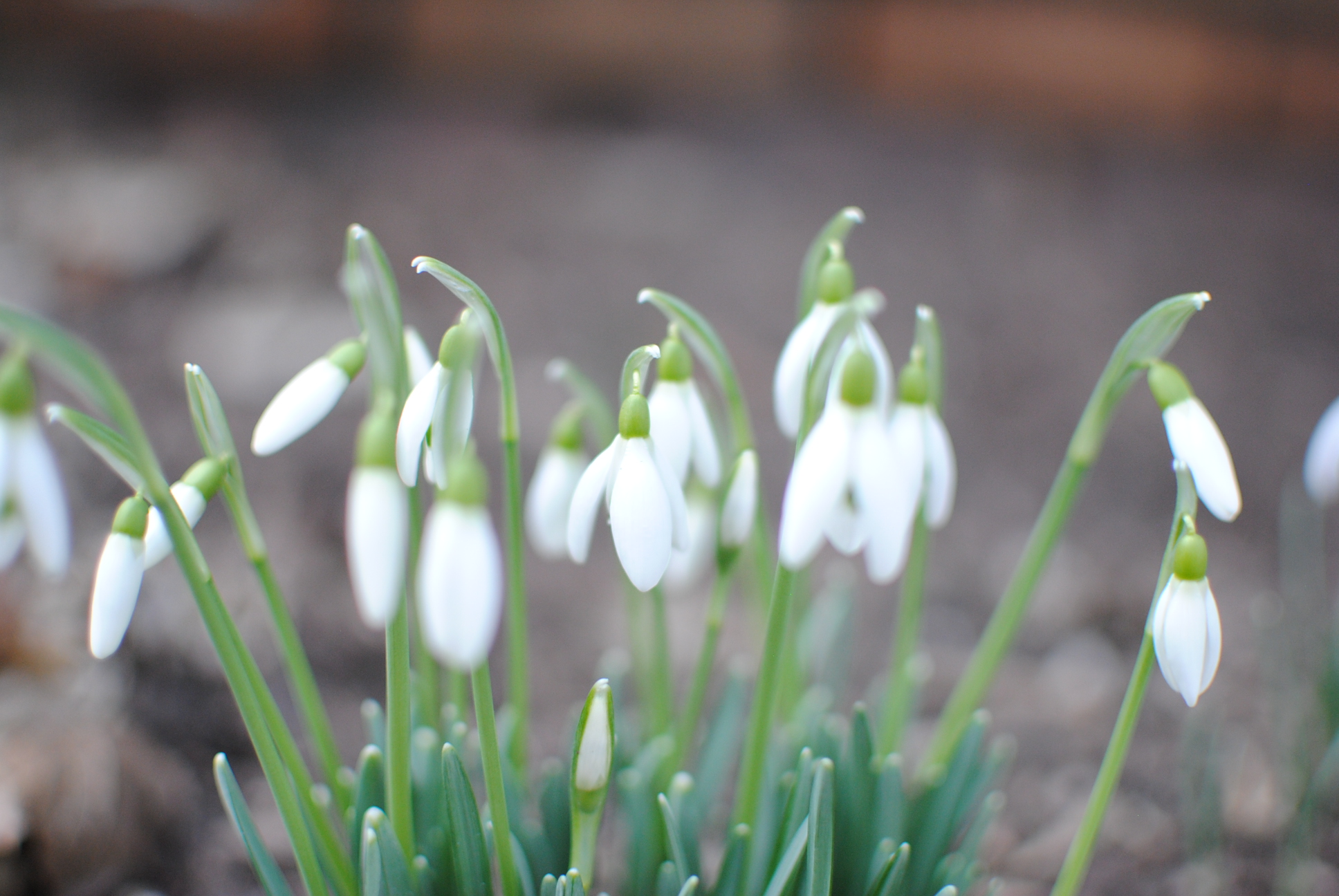 To Remember Ordinary is Enough | Hope Unswerving